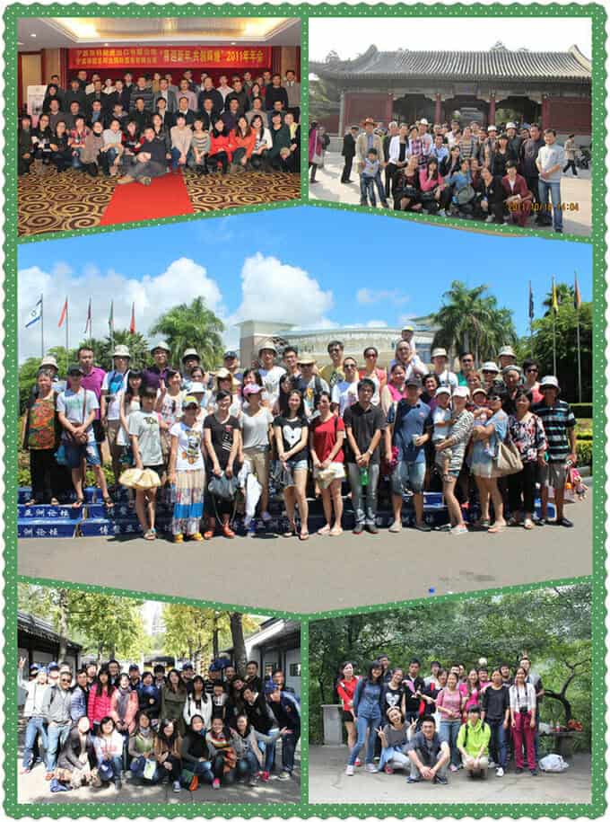 Polyester Car Upholstery Fabric Fire-Resistant With Anti-Mildew ...