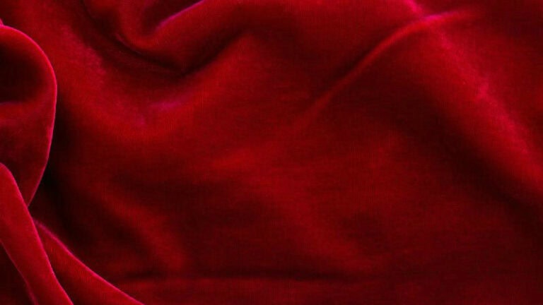 Terbuat dari Apa Beludru: Komposisi dan Jenisnya Dijelaskan - Kenyamanan