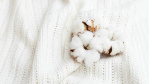 Polyester vs Katun: Menjelajahi Kelebihan dan Kekurangannya - Kenyamanan